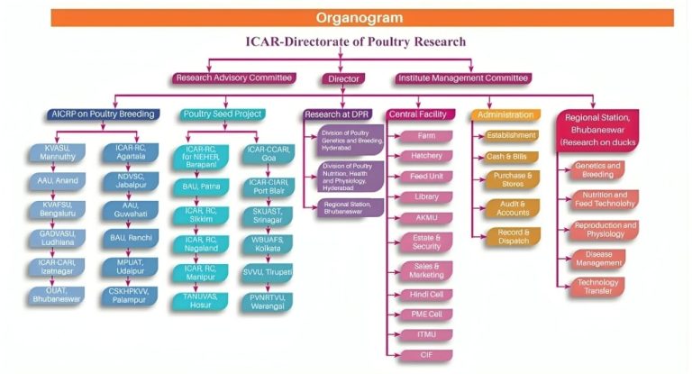 Organizational Setup - ICAR-Directorate of Poultry Research
